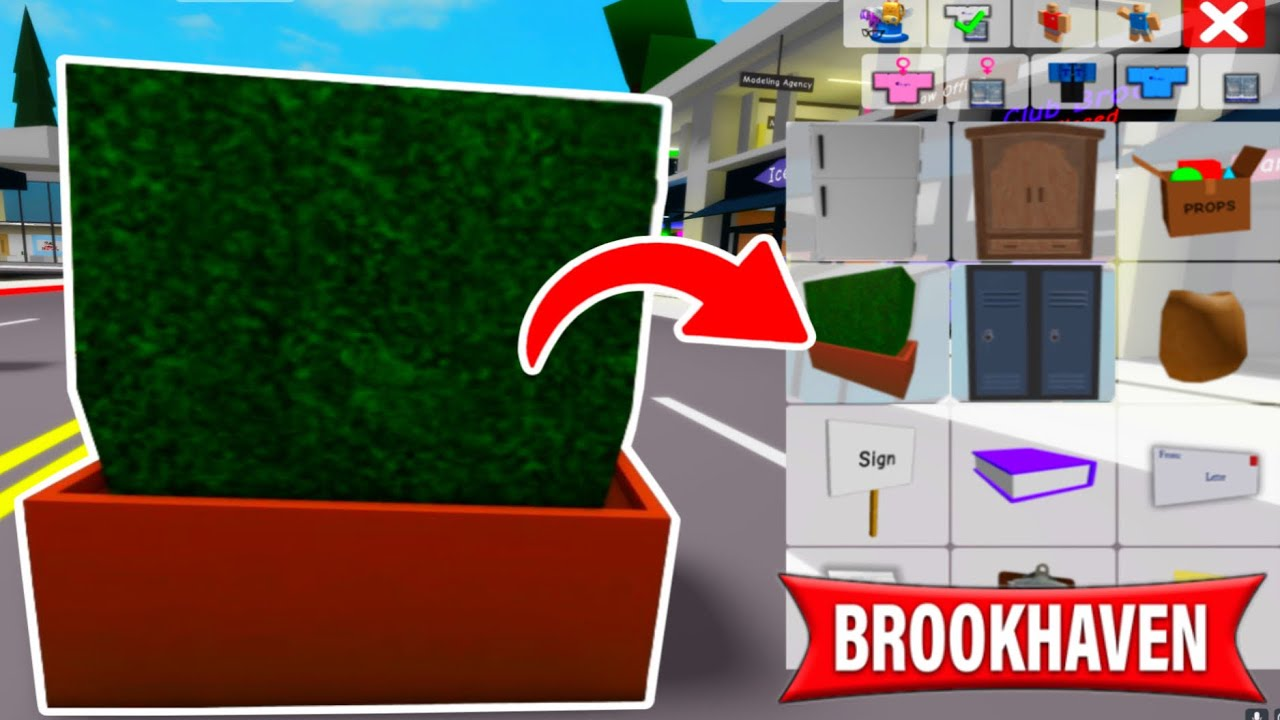 6 dicas que você precisa saber no Brookhaven